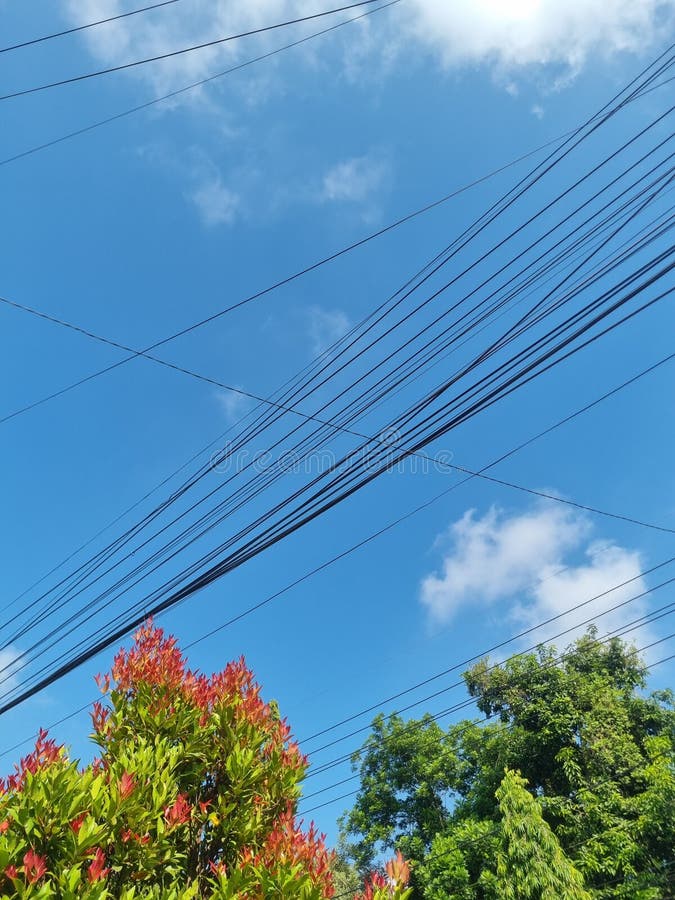 Featuring a View of a Clear Blue Sky without Clouds, Creating a Fresh ...