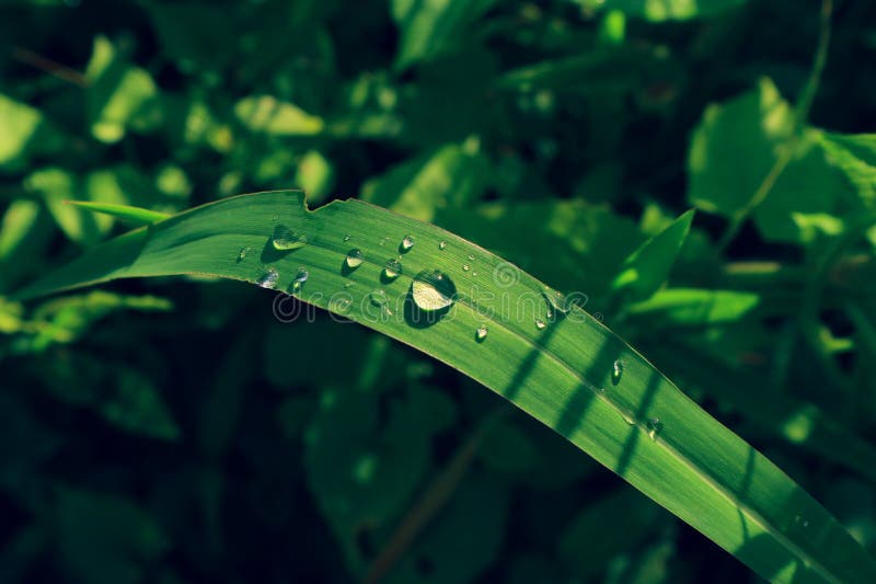 Feaw Water Stock Photos - Free & Royalty-Free Stock Photos from Dreamstime