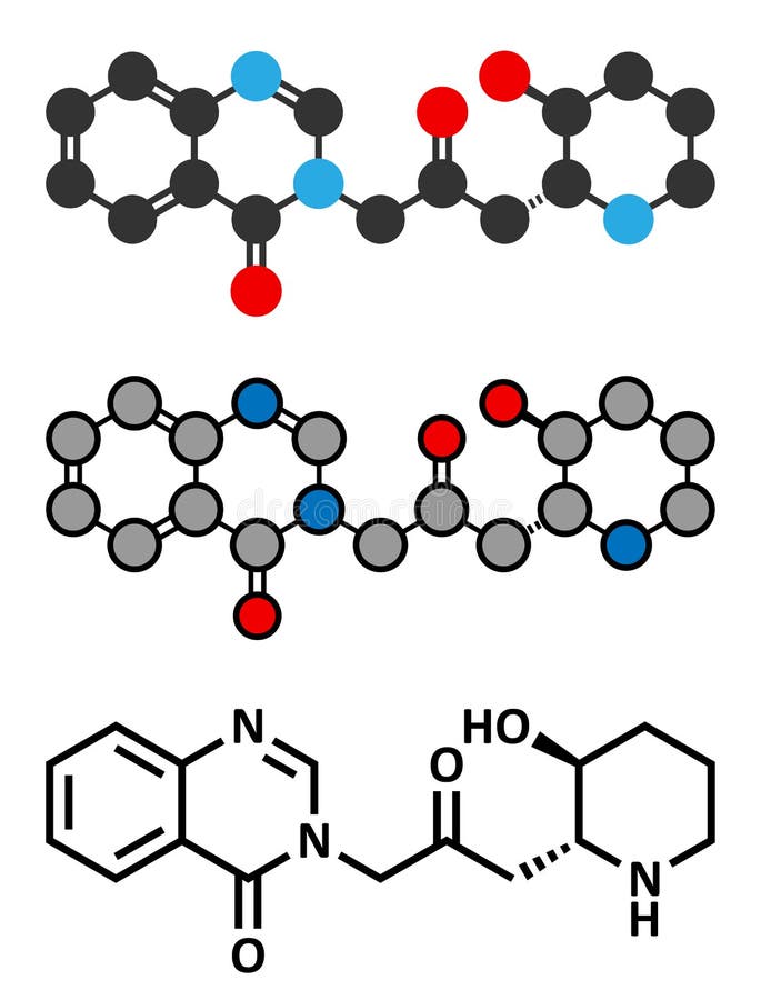 Febrifugine Alkaloid Molecule, First Isolated from Dichroa Febrifuga ...