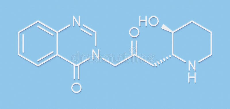 Febrifugine Alkaloid Molecule, First Isolated from Dichroa Febrifuga ...