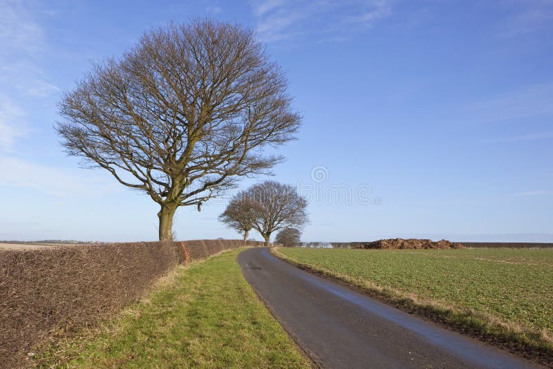 February landscape stock image. Image of highway, landscape - 18562921
