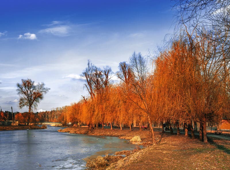 February Landscape with Ice-covered River Stock Photo - Image of light ...