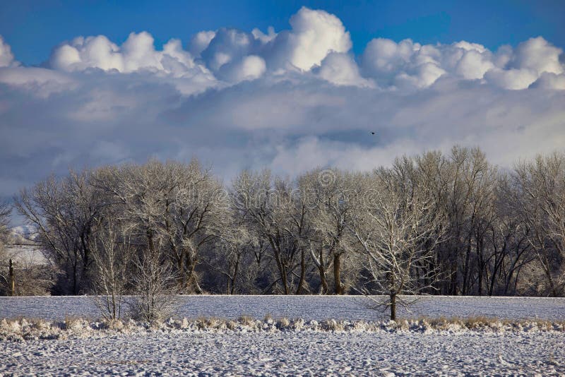 After a February Snow stock image. Image of mountain - 272581713