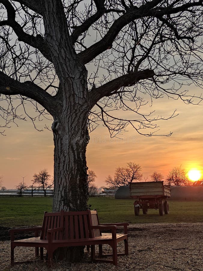 February sunset stock photo. Image of sunset, february - 268868596