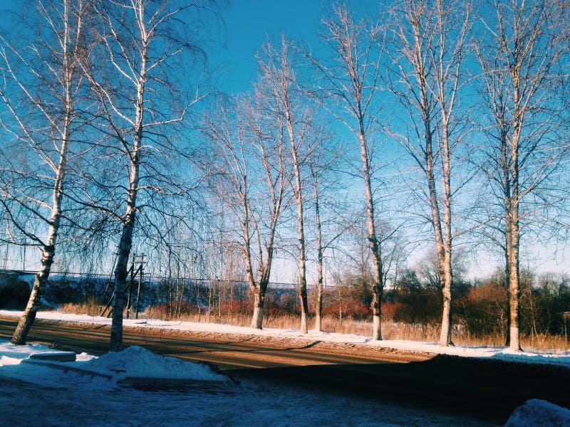 February Winter Light Show stock photo. Image of outdoors - 115353832