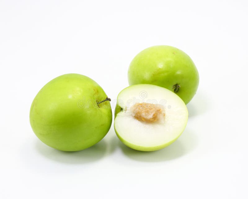 Fecha Del Chino De La Azufaifa Del Ziziphus Imagen de archivo - Imagen ...