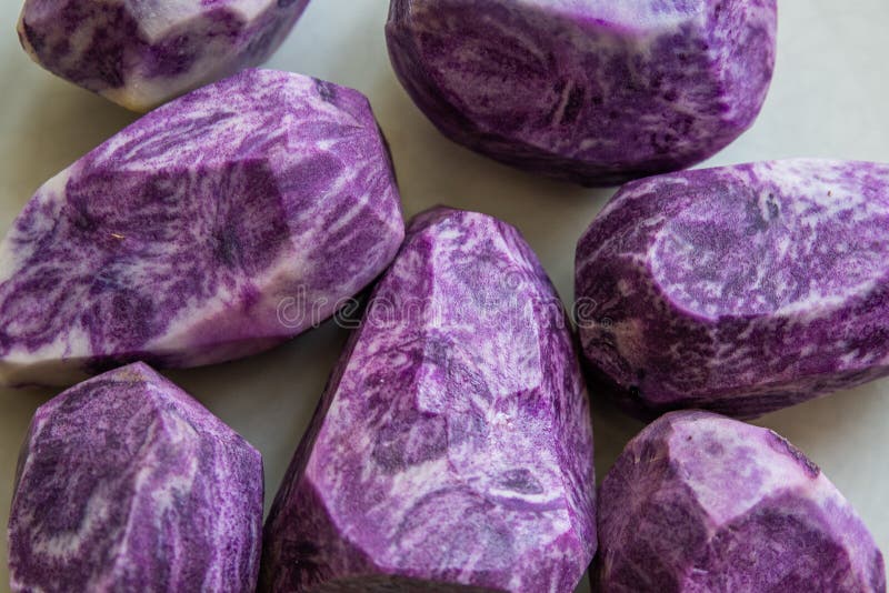 Batata Azul-violeta De Vitelotte (ajanhuiri Vitelotte Do Solanum X Noir ...