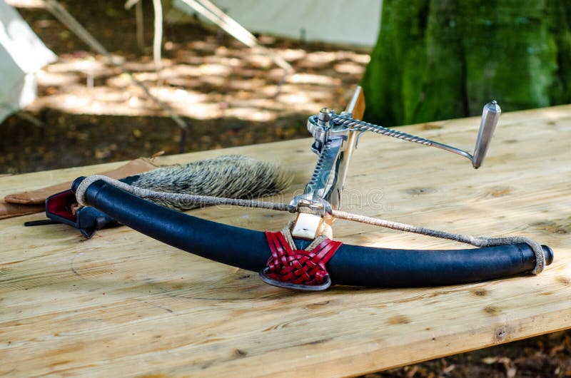 Besta Grande Velha Medieval Sem Uma Seta Na Natureza E No Fundo Verde ...