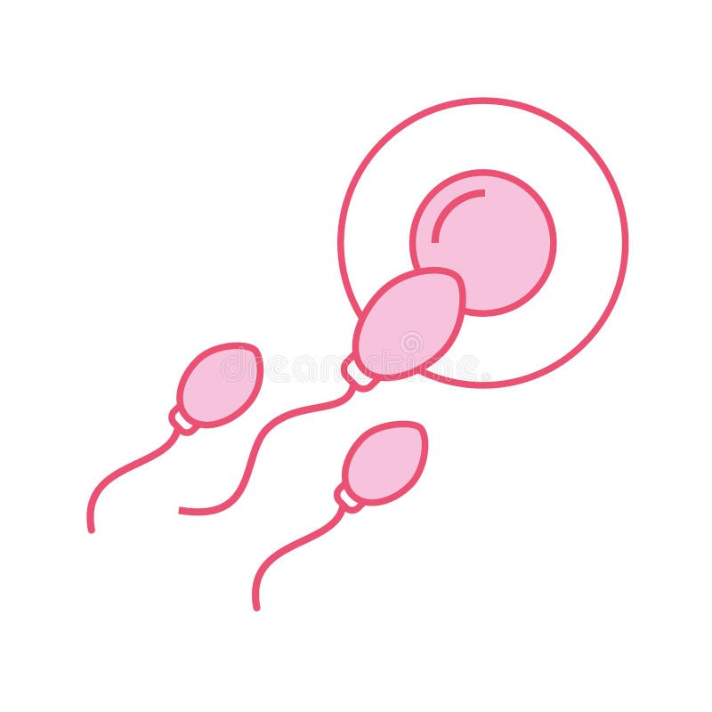 Fecundação Pelo Espermatozoide Ilustração do Vetor - Ilustração de ...