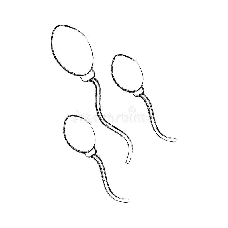 Fecundação Pelo Espermatozoide Ilustração do Vetor - Ilustração de liso ...