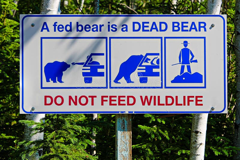 A Fed Bear is a Dead Bear, Do Not Feed Wildlife Sign Stock Photo ...