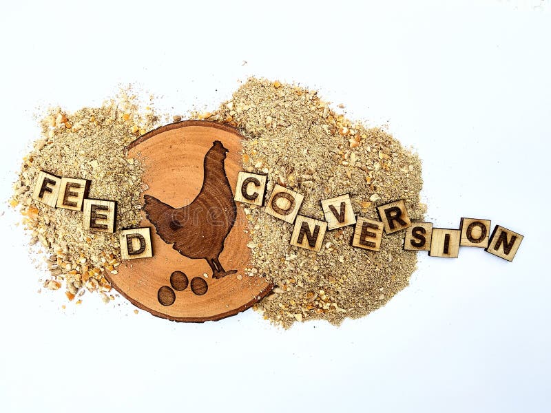 Feed Conversion Ratio, FC for Poultry, Layer and Broiler Chicken Stock ...