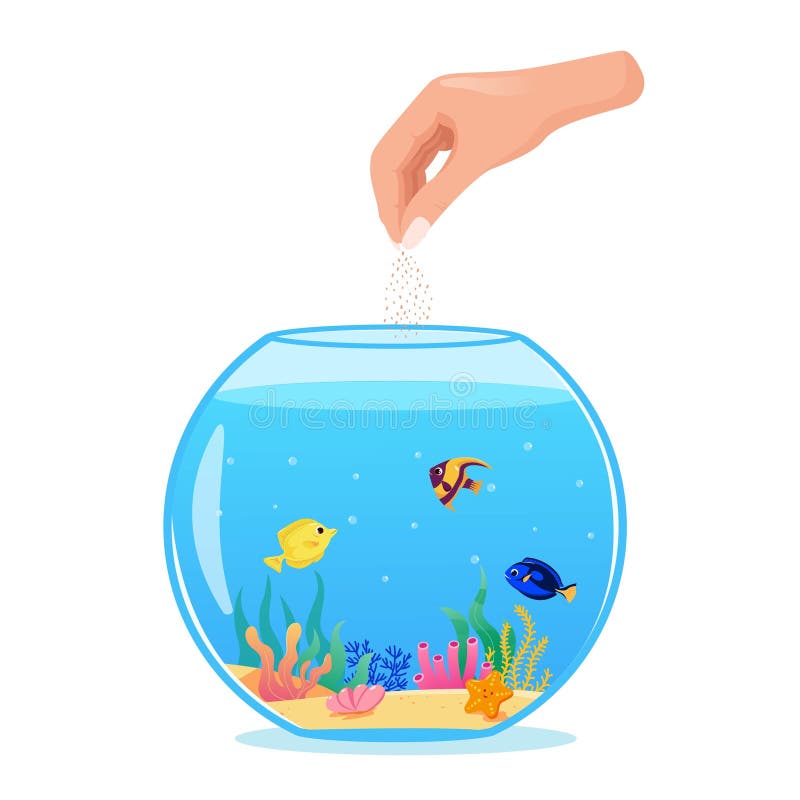 Vector Illustration of a Woman S Hand Feeding Fish at Home Stock Vector ...