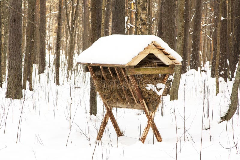 Feed trough stock photo. Image of aceros, acerous, feed - 65914146