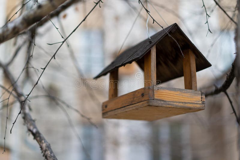 Feeder on a Tree, for Feeding Birds Stock Image - Image of ornithology ...