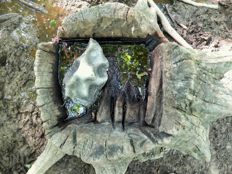 Elk Feeders with Hay and Salt Residues in the Forest Stock Image ...