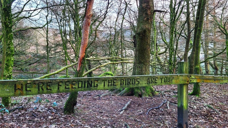 We are Feeding Birds, are You? Forest Sign Stock Photo - Image of track ...