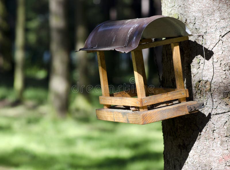 Feeding box for squirrels stock image. Image of nature - 47743199
