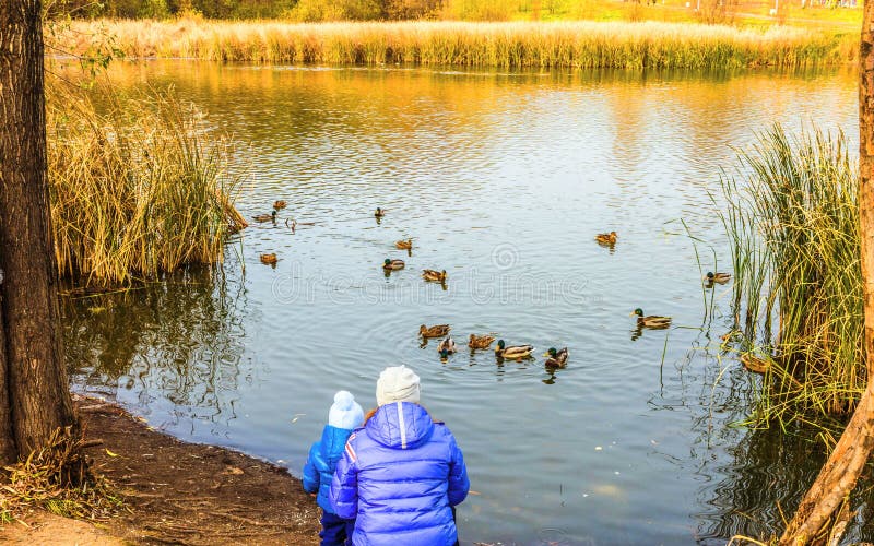 Lake in Samara stock image. Image of park, autumn, samara - 108257079