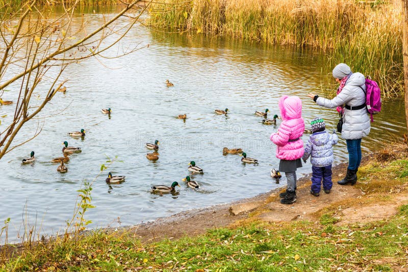 Lake in Samara stock image. Image of park, autumn, samara - 108257079