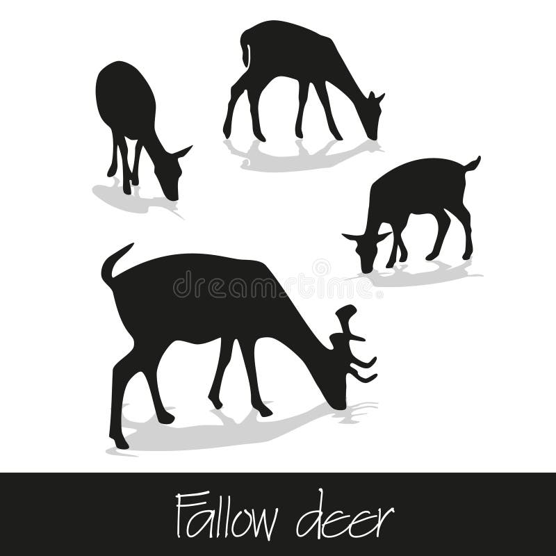 Fallow Deer Silhouette Icons Eps10 Stock Vector - Illustration of ...