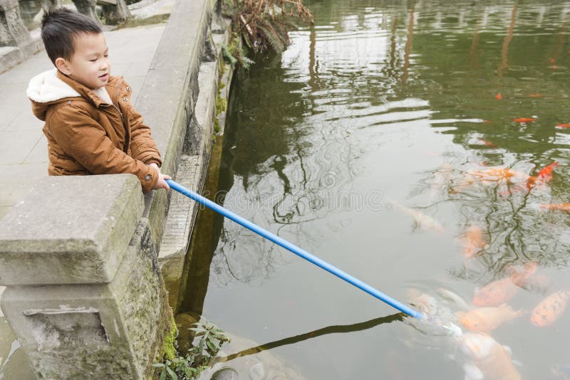 Boy feeding fish stock image. Image of water, feed, enjoy - 57871777