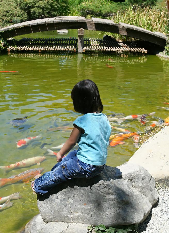 Boy Feeding Japanese Koi Fish in Tropical Pond Stock Image - Image of ...