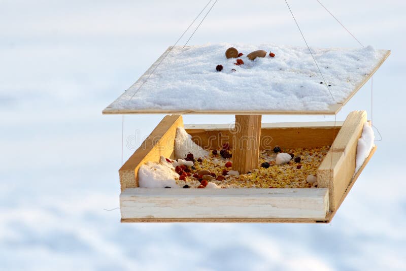 Feeding Trough For Birds Picture. Image: 513741