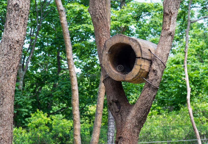 Feeding trough stock image. Image of hardwood, feeding - 74081221