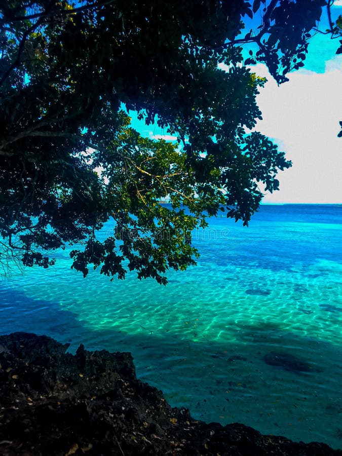 The Feel of the Beach and Trees and Very Beautiful Blue Sea Stock Image ...