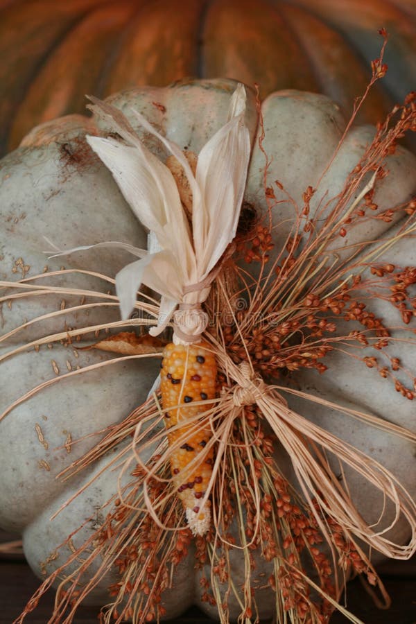 Feel Fall stock photo. Image of autumn, decoration, vegetable - 7079580