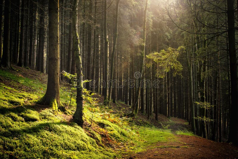Feel the hand green lawn stock image. Image of body, fresh - 70771227