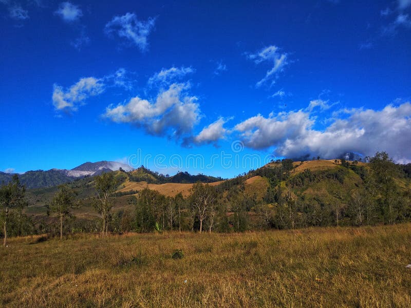 Feel good back to nature stock image. Image of good - 221278075