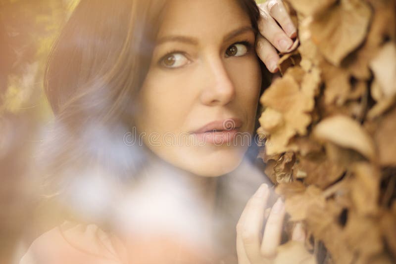 Feel the nature stock photo. Image of fresh, looking - 150106884