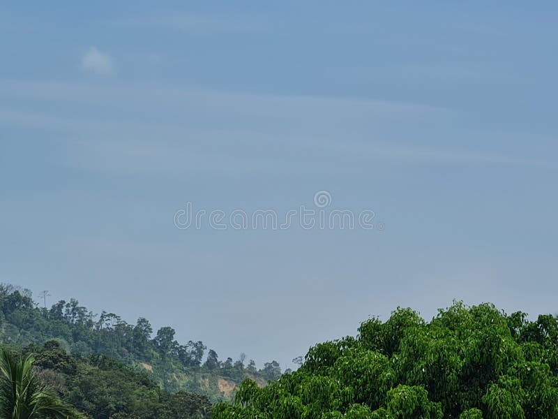 Feel the Real Hill stock photo. Image of tree, wind - 255003174