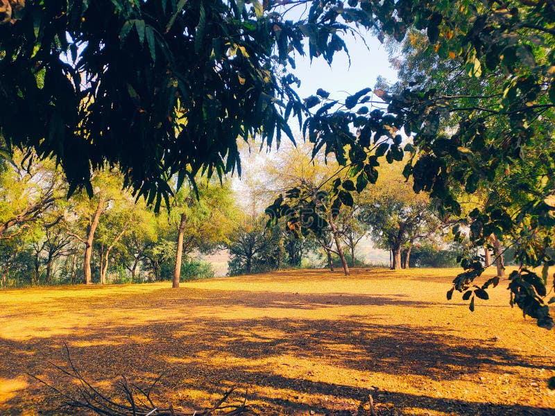 Feel the Silence of Nature... Stock Image - Image of beauty, silence ...