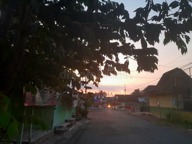 Feel sunset under the tree stock image. Image of street - 255002893