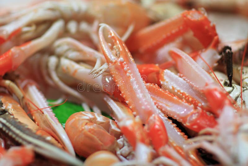 Feelers of prawn stock image. Image of group, boqueria - 14317159