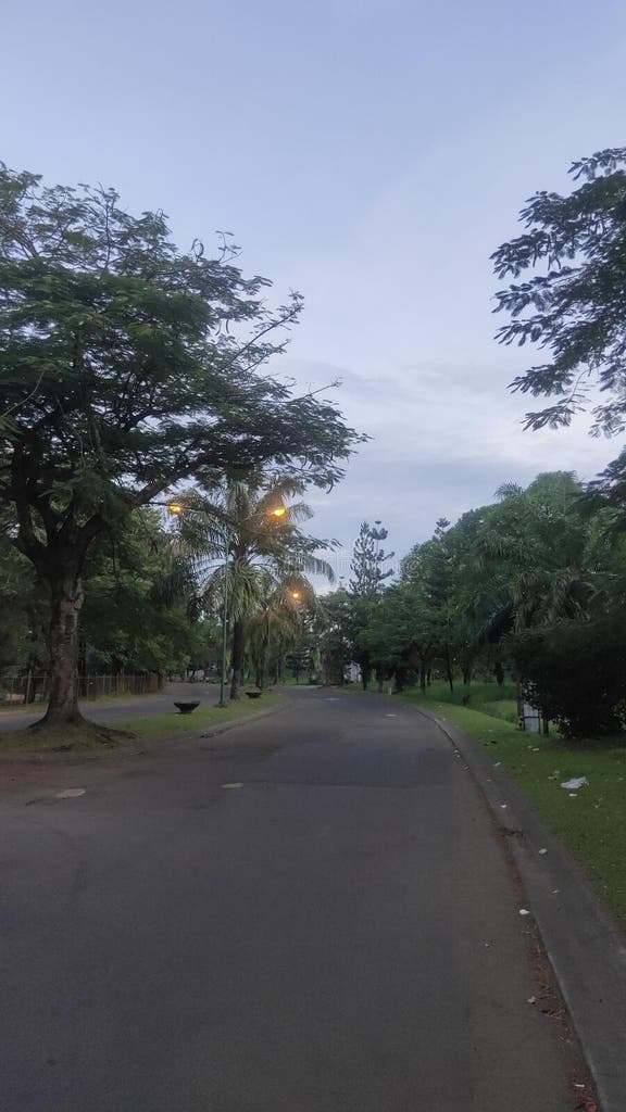 Feeling Fresh and Morning Walk Stock Photo - Image of feeling, morning ...