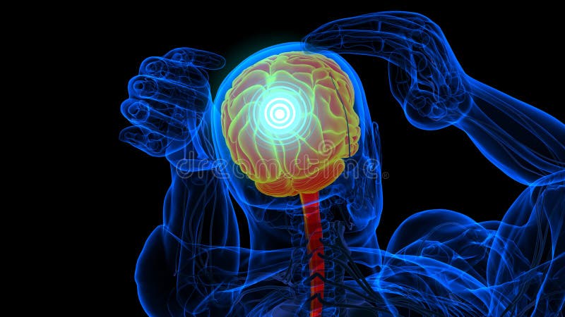 Feeling Headache Anatomy for Medical Concept 3D Rendering Stock ...