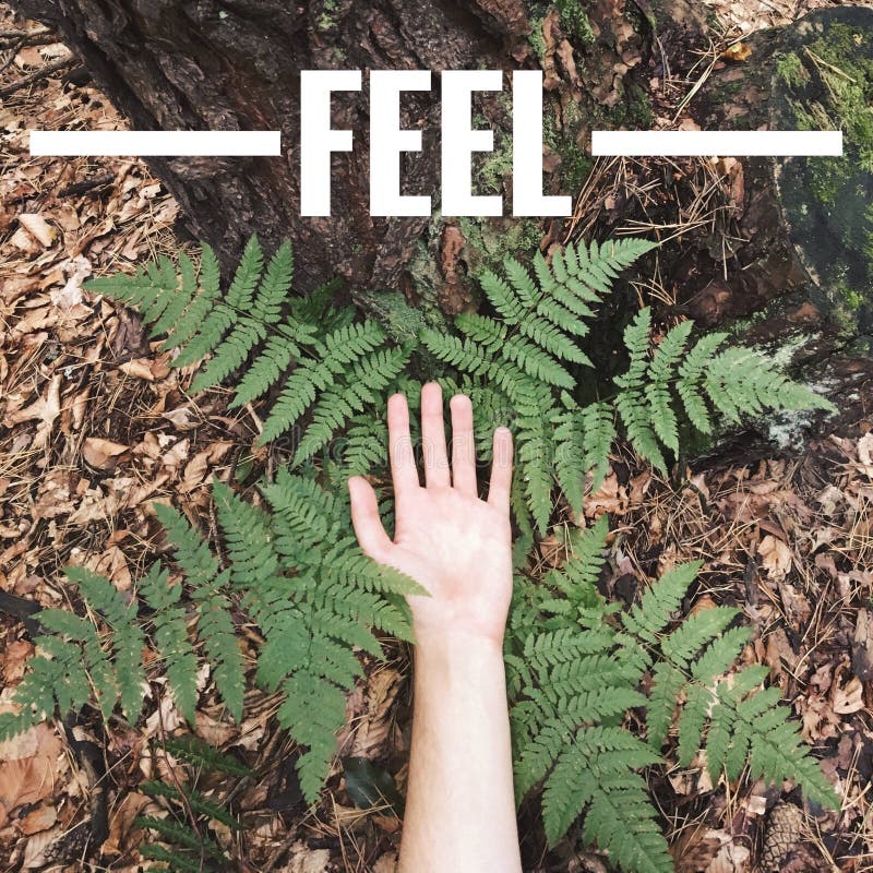 Feeling nature stock image. Image of flirty, body, outdoors - 33135919