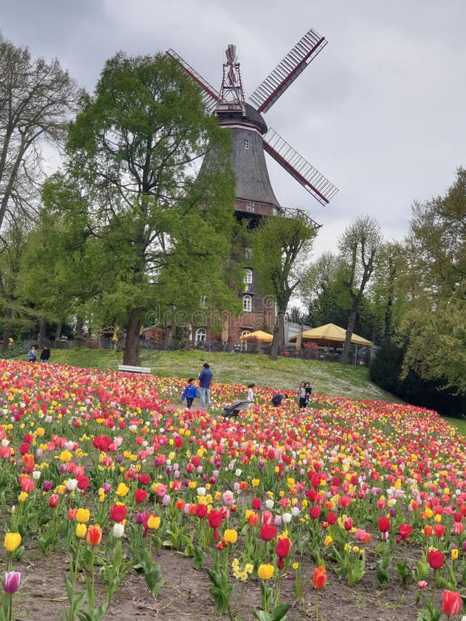 Feeling the Spring Breeze editorial stock photo. Image of vehicle ...