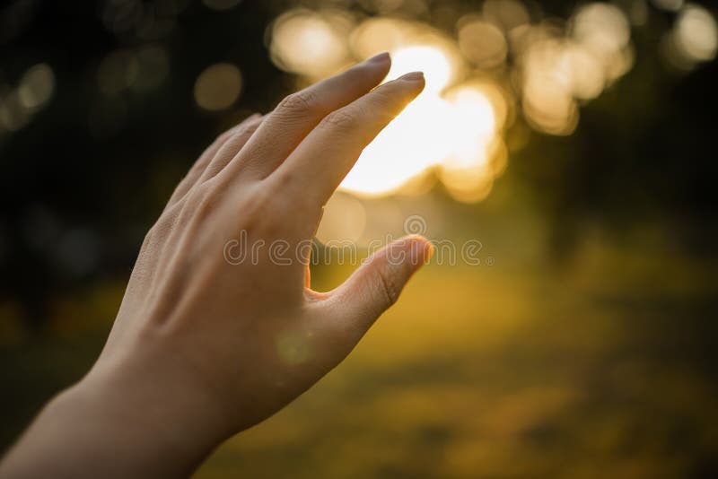 Feeling the Sun. Female Hand Trying To Touch Evening Sun Stock Image ...
