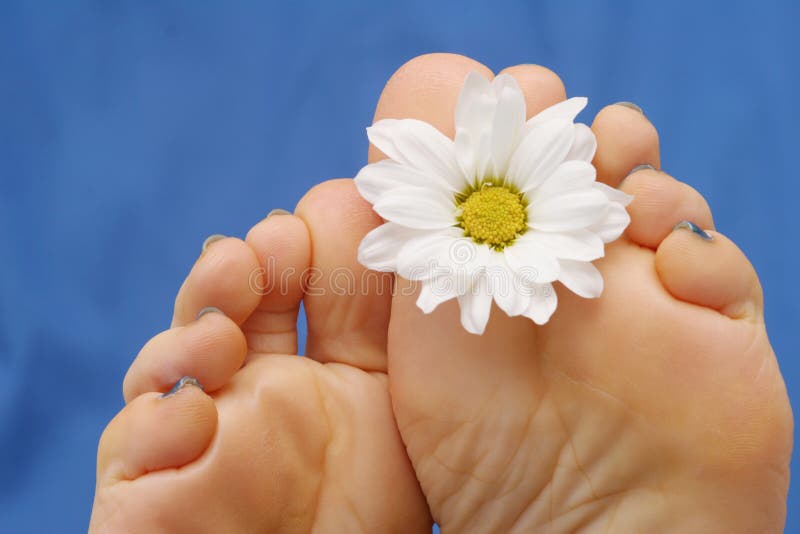 152 Close Up Soles Female Feet Stock Photos - Free & Royalty-Free Stock ... 152 Close Up Soles Female Feet Stock Photos - Free & Royalty-Free Stock ...