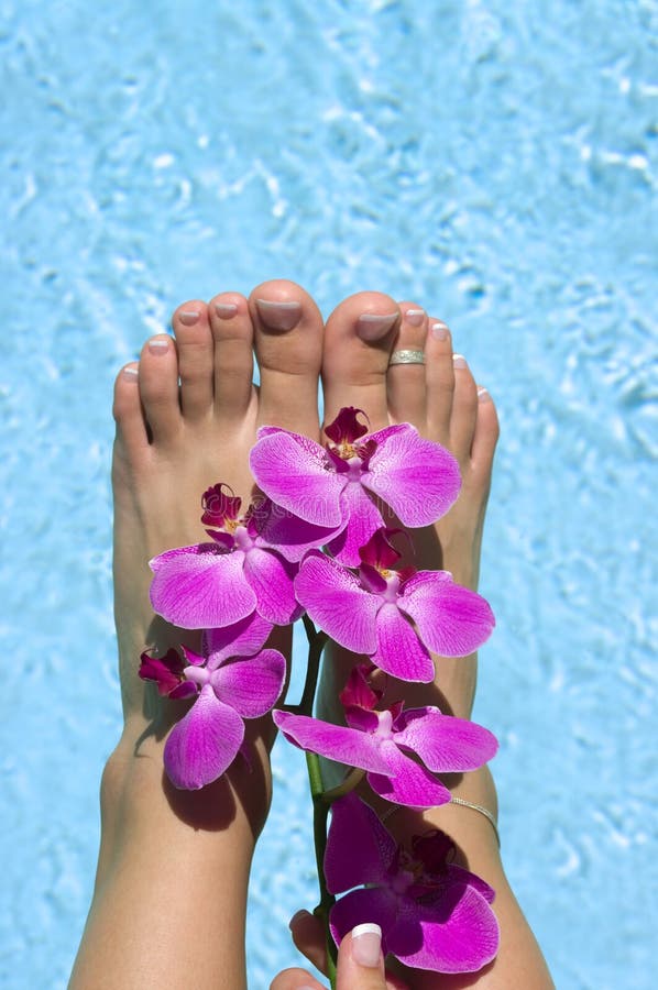 Feet stock image. Image of skincare, aromatherapy, bathroom - 1624651