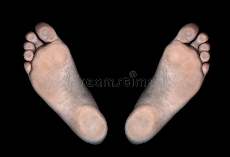Feet stock photo. Image of hygiene, feet, macro, foot, sole - 738778