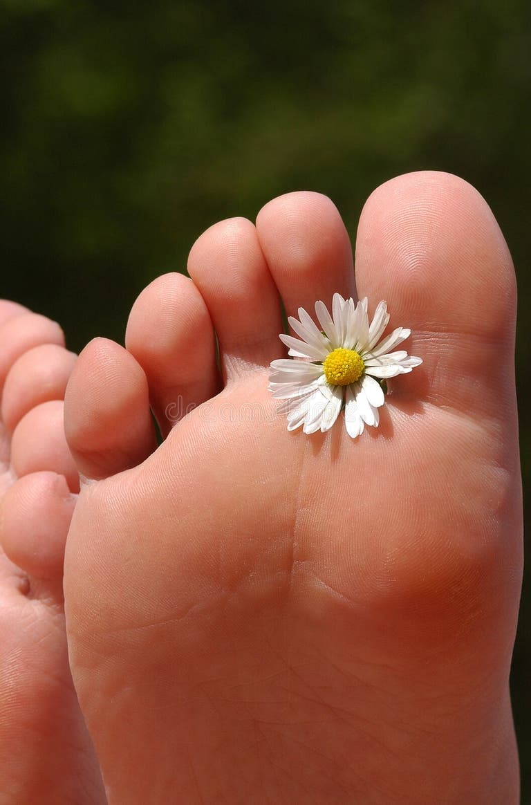 420 Soft Feet Soles Stock Photos - Free & Royalty-Free Stock Photos ...