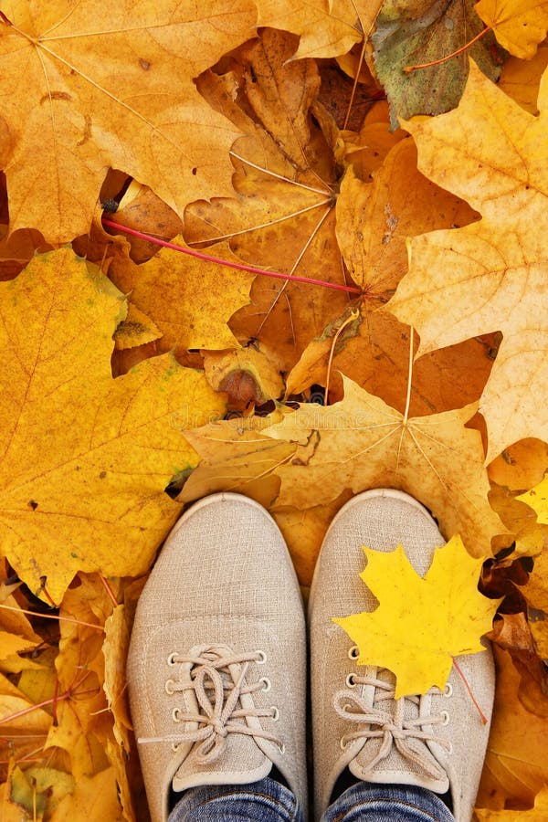 Feet on the autumn leaves stock photo. Image of shoes - 77473748