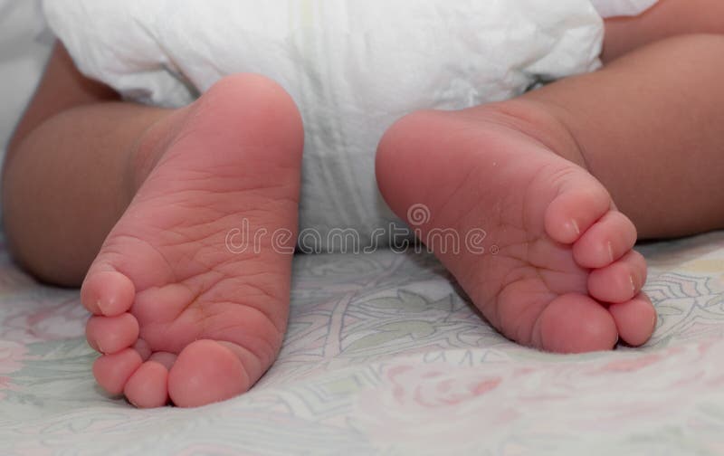 Feet of baby. stock image. Image of body, alive, small - 42791661