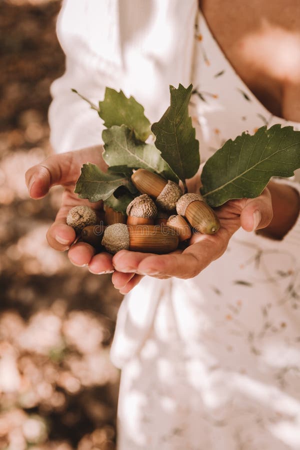 Feet in Boots Under an Oak Tree. Stock Photo - Image of dress, green ...